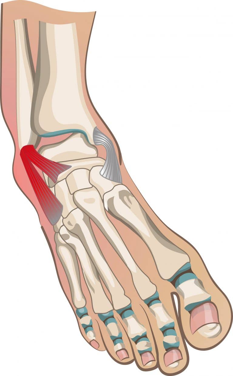 Enkel - Fysiotherapie de Jong